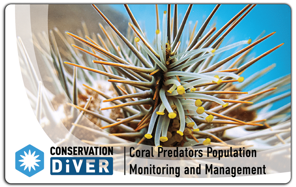 Coral Predators Course - Conservation Diver