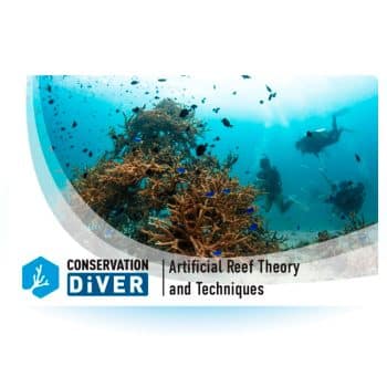 artificial-reef-square - Conservation Diver