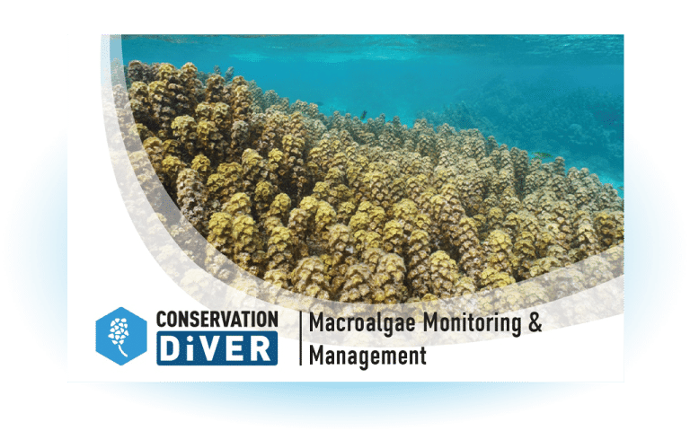 Macro Algae Monitoring & Management - Conservation Diver