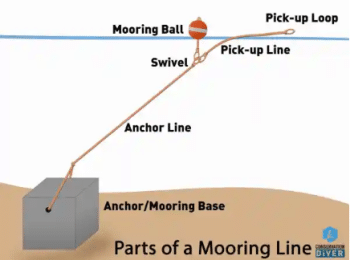Mooring Line Maintenance & Installation - Conservation Diver