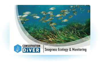 Seagrass Ecology & Monitoring - Conservation Diver